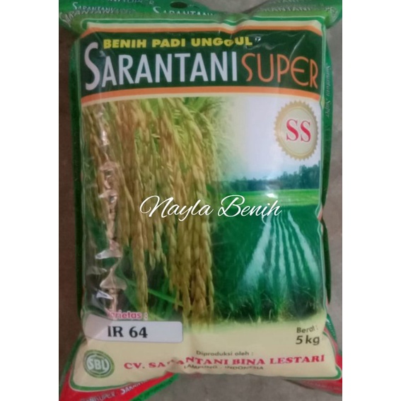 Jual Benih Padi Unggul SARANTANI SUPER ( IR. 64 ) kemasan 5 kg | Shopee Indonesia