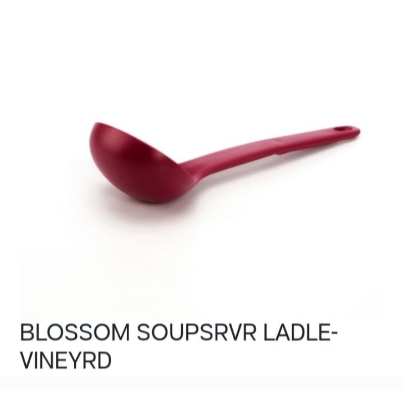 Jual Tupperware Soup Ladle (sendok sup) | Shopee Indonesia