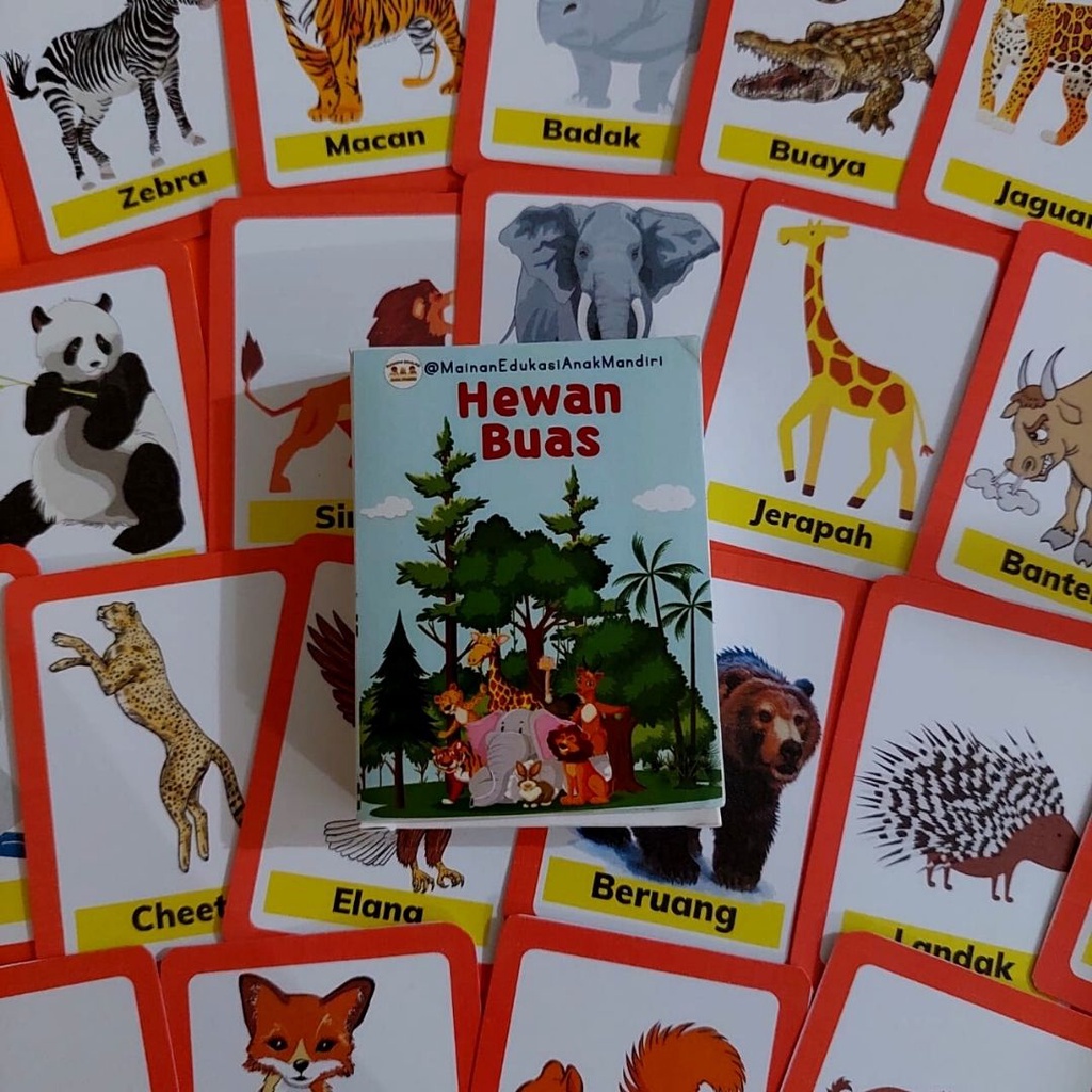 Jual FLASH CARD EDUKASI ANAK Flashcard Kartu Pintar Balita Kartu ...