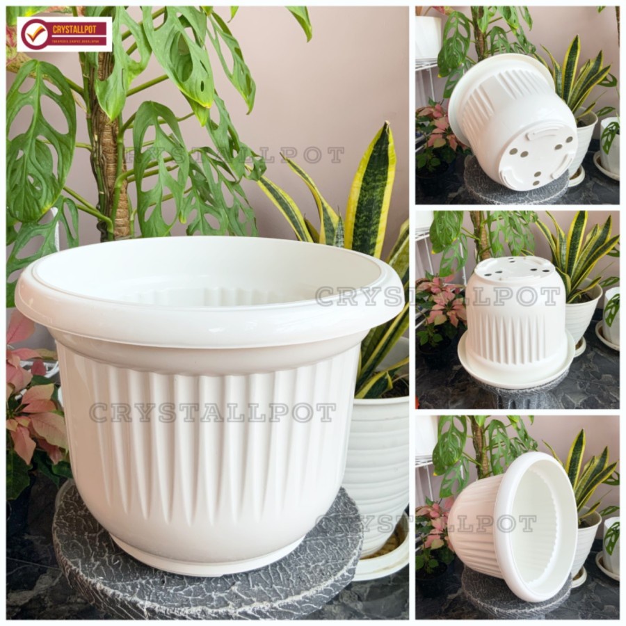 Jual Pot Bunga Besar Tanaman Hias Buah Taman Plastik GL Flamboyan Ori ...
