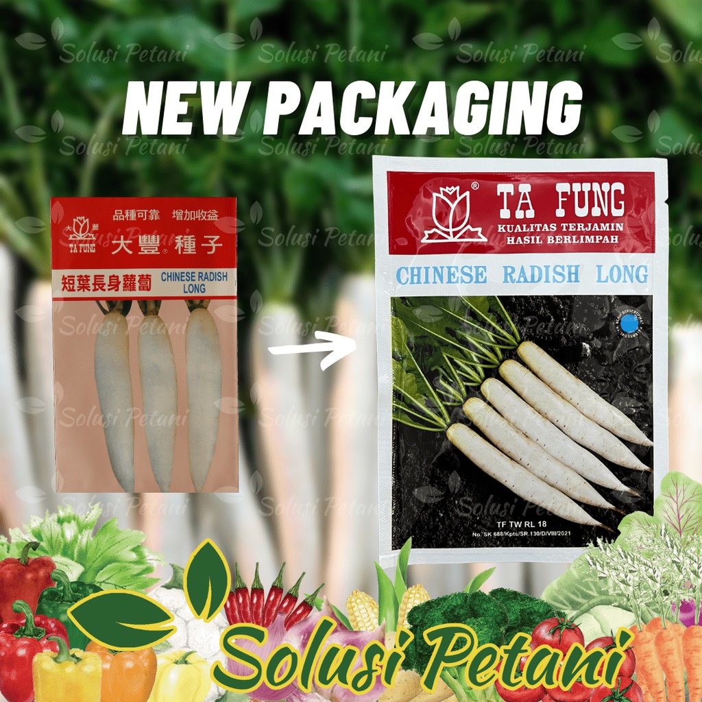Jual Benih Lobak Chinese Radish Long 20gr (1.300 Biji) Benih Lobak Ta ...