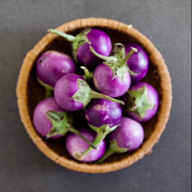 Jual Benih TERONG Mini Bulat Ungu - Biji Sayur Terong Lalapan Lalab ...