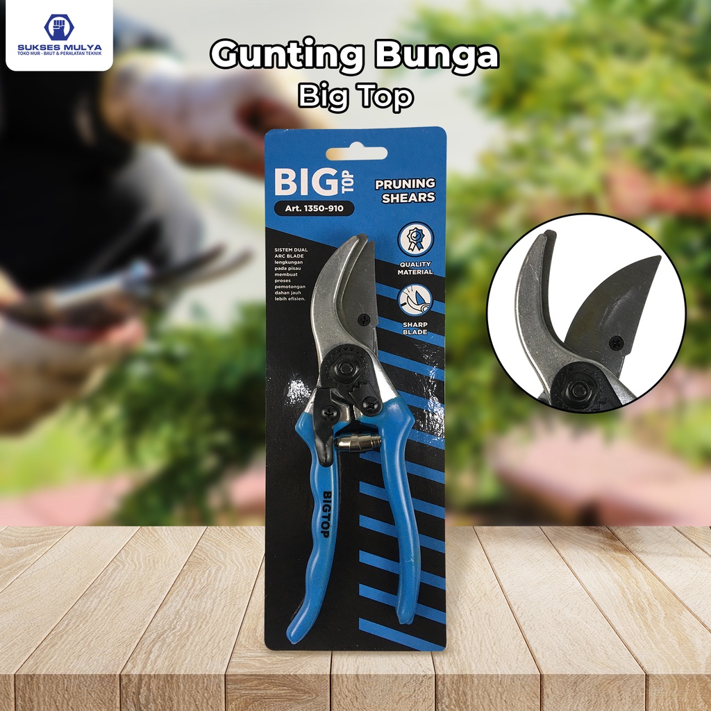 Jual Gunting Dahan - Gunting Ranting Tanaman READY BIG TOP | Shopee ...