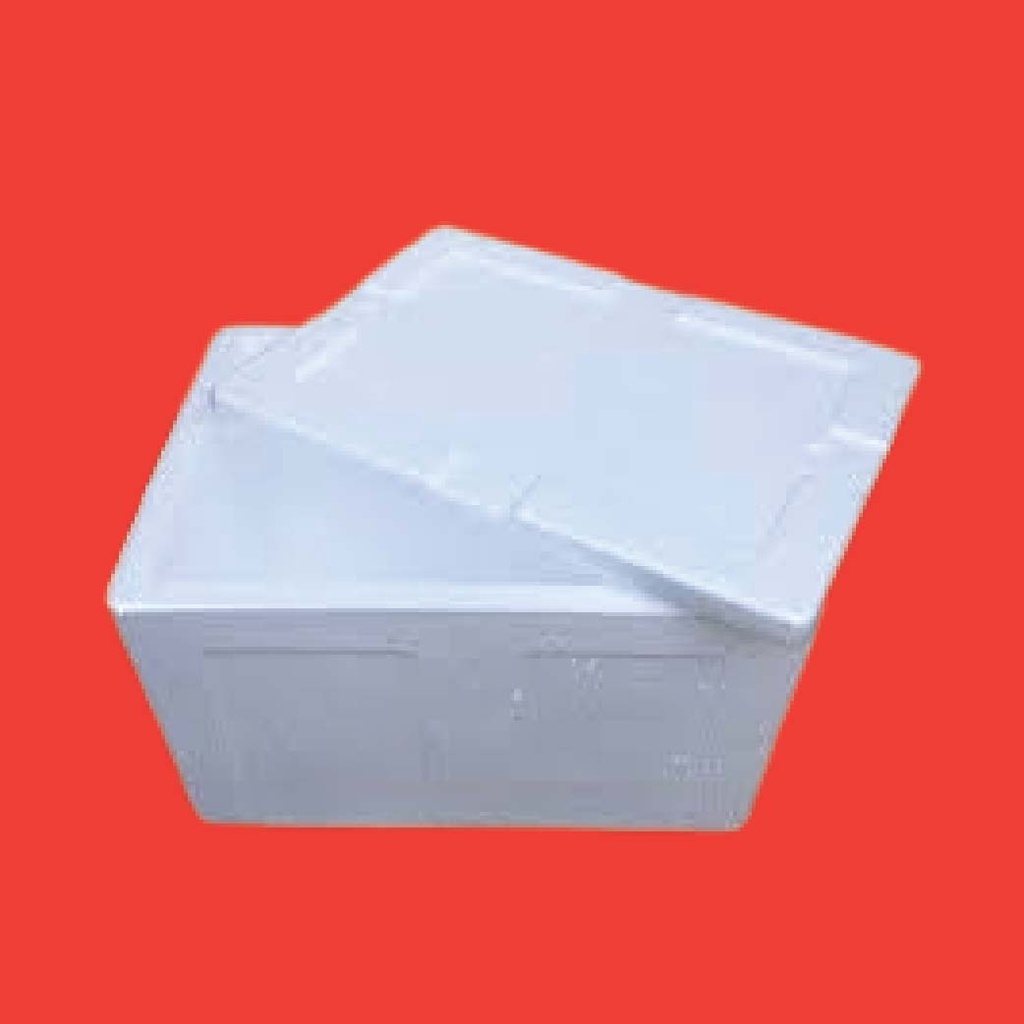 Jual Styrofoam Box For Juice 5L | Shopee Indonesia