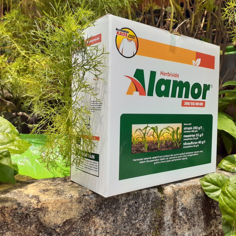 Jual ALAMOR 355OD 800ML HERBISIDA SELEKTIF TANAMAN JAGUNG | Shopee ...