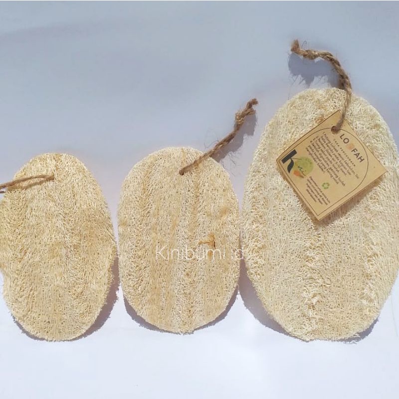 Jual Loofah Pad Oval GAMBAS - Exfoliating Body Scrubber Spons Mandi ...