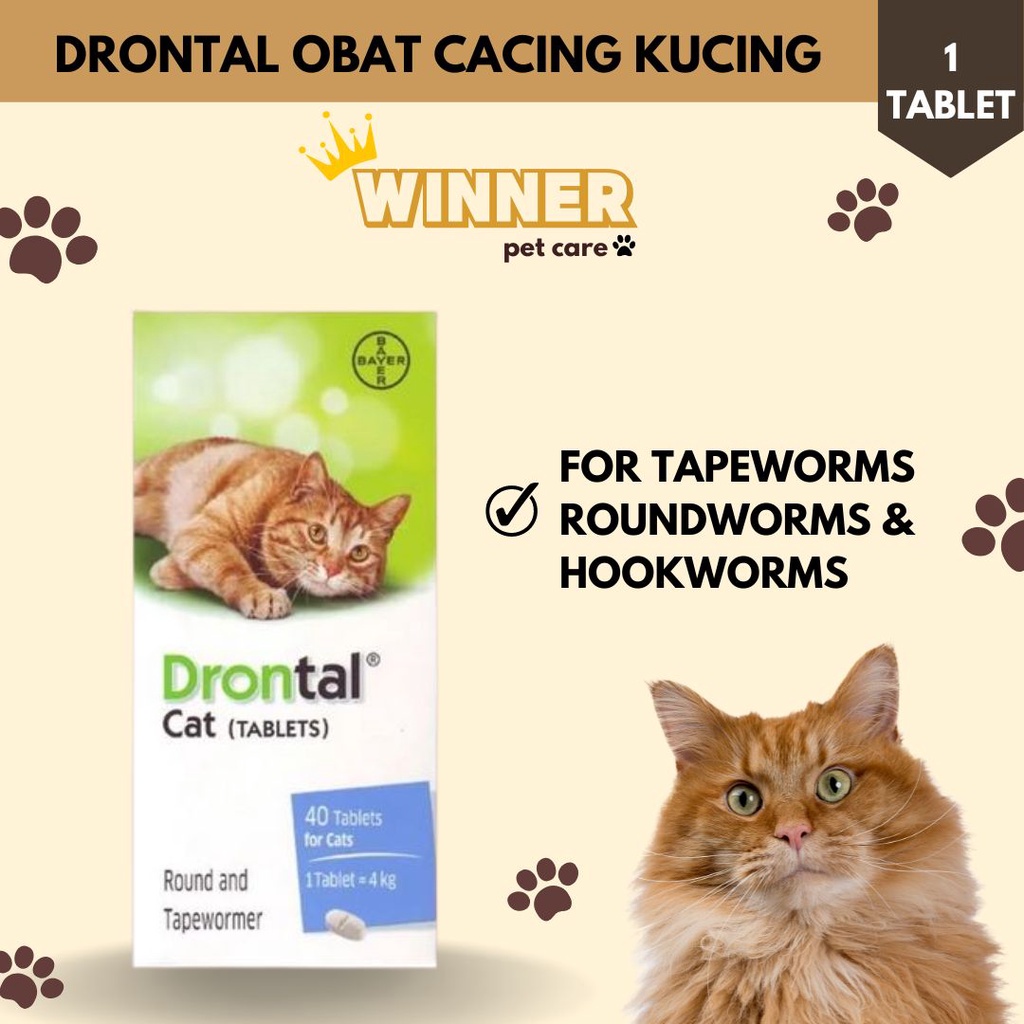 Jual DRONTAL Cat Obat Cacing Kucing Per 1 Tablet | Shopee Indonesia