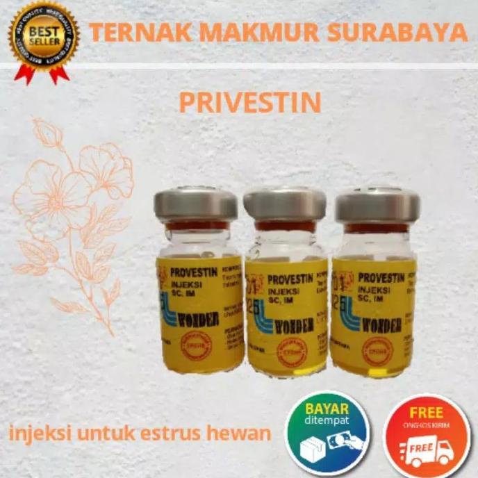 Jual PROVESTIN INJEKSI 6ml | Shopee Indonesia