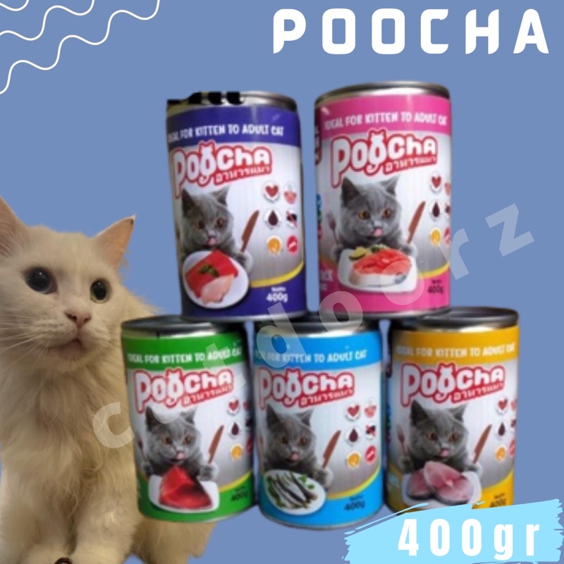 Jual POOCHA pakan kucing wetfood kaleng termurah 400gr | Shopee Indonesia