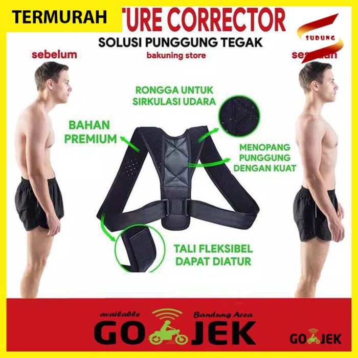 Jual Penunjang Gerak Penyangga Punggung Tulang Belakang - Posture ...