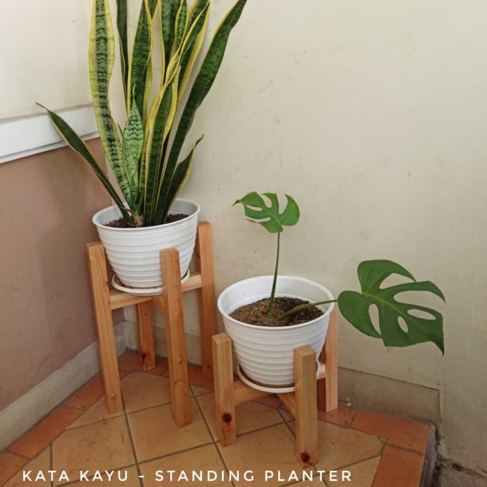 Jual Paket Couple Standing Planter Plant rak pot Kayu 30cm dan 50cm ...