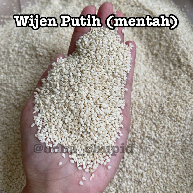 Jual Wijen Putih (mentah) | Shopee Indonesia
