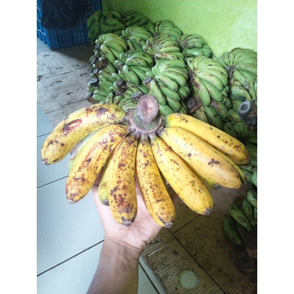 Jual pisang barangan (asli Medan) | Shopee Indonesia