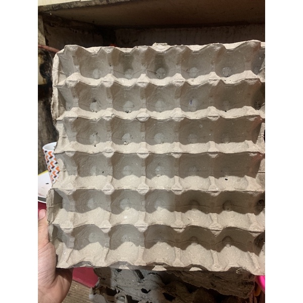 Jual Egg Tray Karton - Try Telor Tempat Telur Ayam Bekas MURAH | Shopee ...