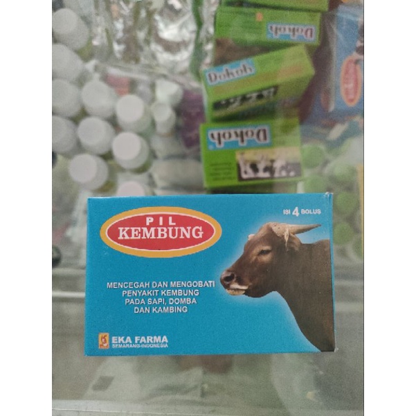 Jual Pil Kembung Obat Kembung Sapi Kambing Domba Kerbau | Shopee Indonesia Jual Pil Kembung Obat Kembung Sapi Kambing Domba Kerbau | Shopee Indonesia