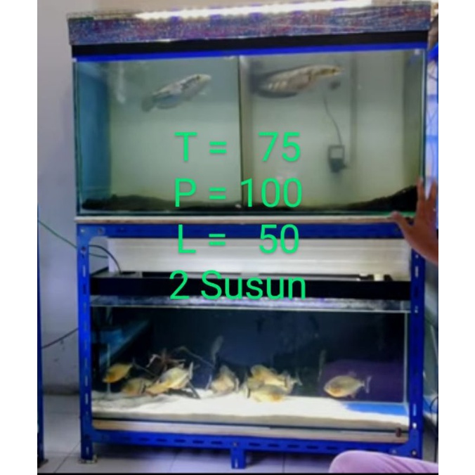 Jual RAK AQUARIUM T75 P100 L50 (2 SUSUN) | Shopee Indonesia