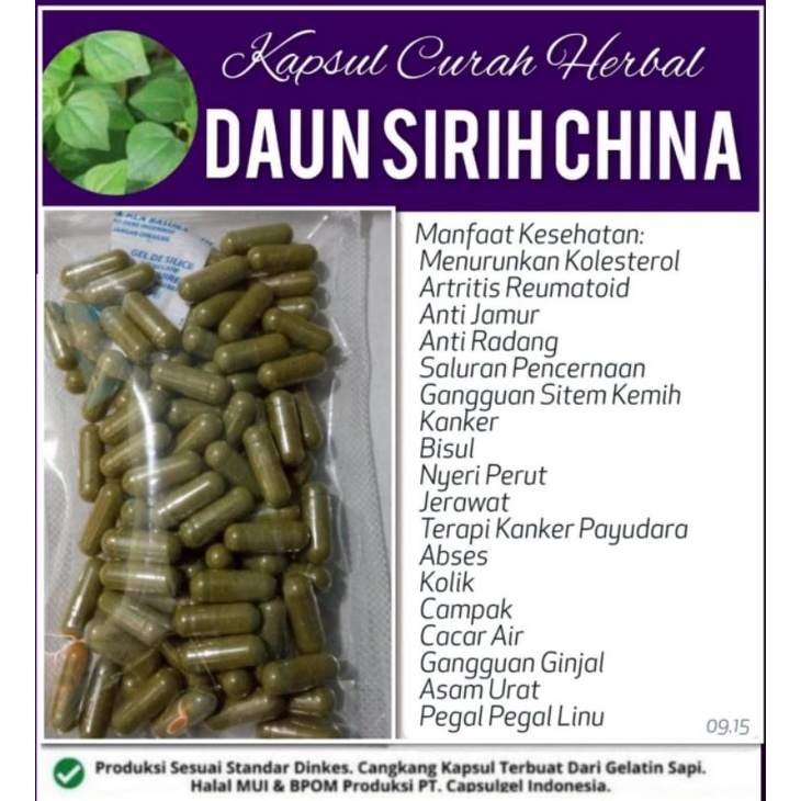 Jual daun sirih Cina 100 kapsul murni tanpa campuran | Shopee Indonesia