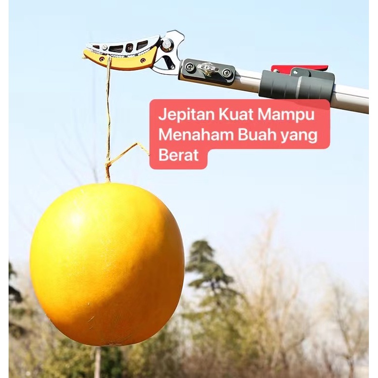 Jual PCK-09 Alat Tongkat Pemetik Buah Panjang Telescopik Pemangkasan Ranting Pohon Gergaji Tree ...