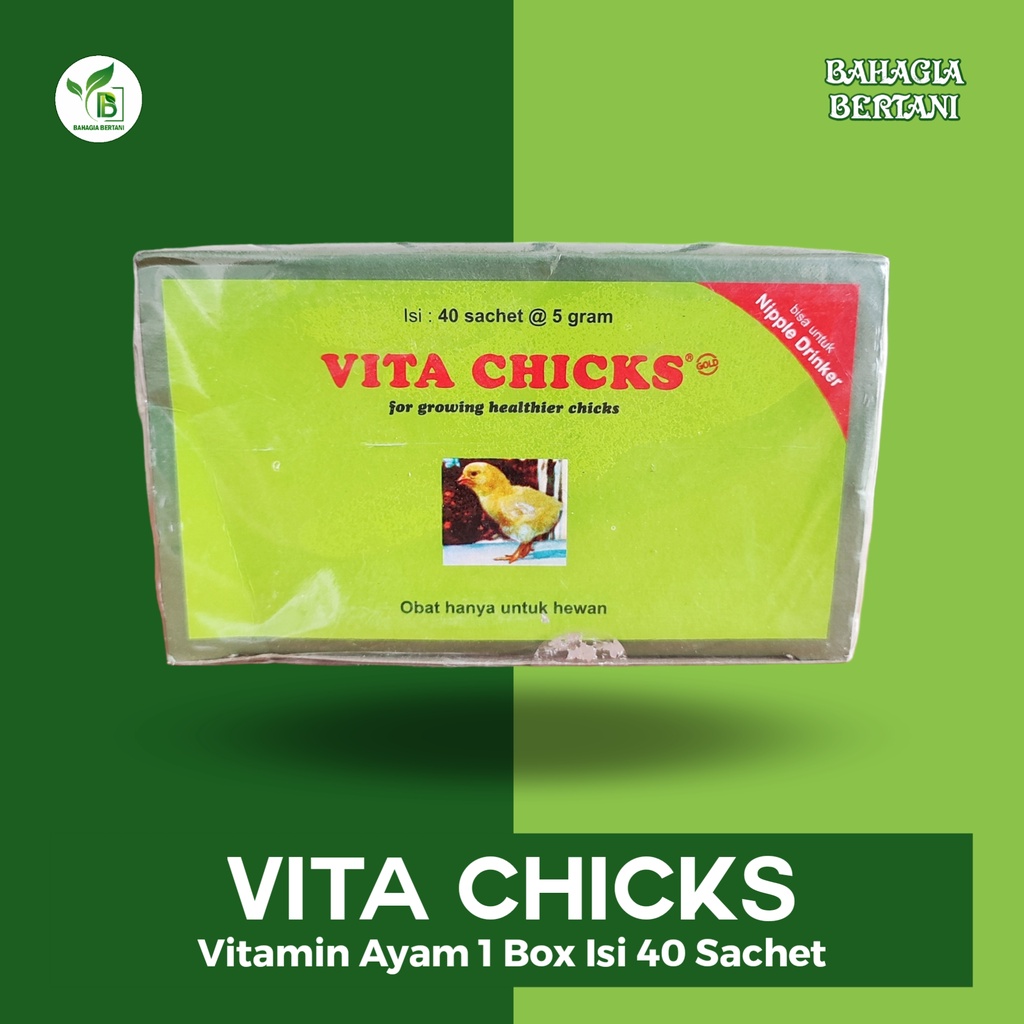 Jual VITA CHICKS | Vitamin Ayam 1 Box Isi 40 Sachet | Shopee Indonesia