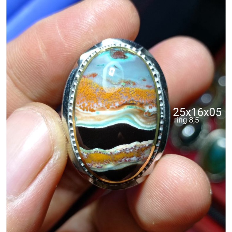 Jual Pancawarna garut super HQ, 100% Natural | Shopee Indonesia