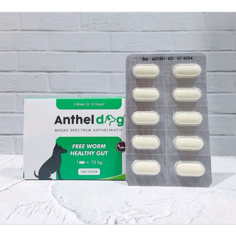 Jual Anthel Dog Obat Cacing Anjing Harga per Tablet | Shopee Indonesia