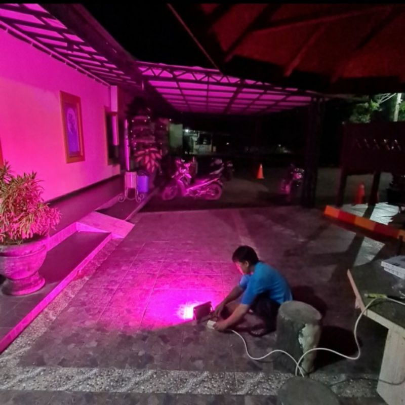 Jual Lampu tanaman pengganti sinar matahari led 50 watt 220 v | Shopee ...