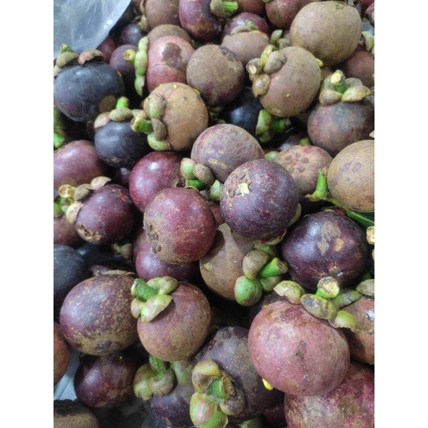 Jual buah manggis 1kg | Shopee Indonesia
