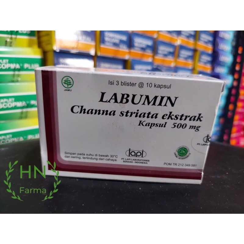 Jual LABUMIN EKSTRAK IKAN GABUS 500 MG PER BOX @ 30 KAPSUL | Shopee ...
