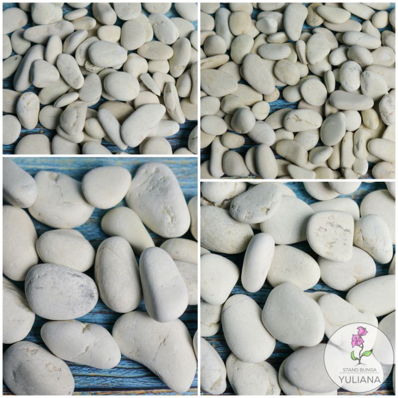Jual Batu koral putih | Batu WPK 1Kg | Batu Hias Tanaman 1Kg | Batu ...
