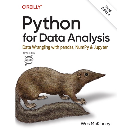 Jual Python for Data Analysis: Data Wrangling with pandas, NumPy, and Jupyter, 3rd Edition ...