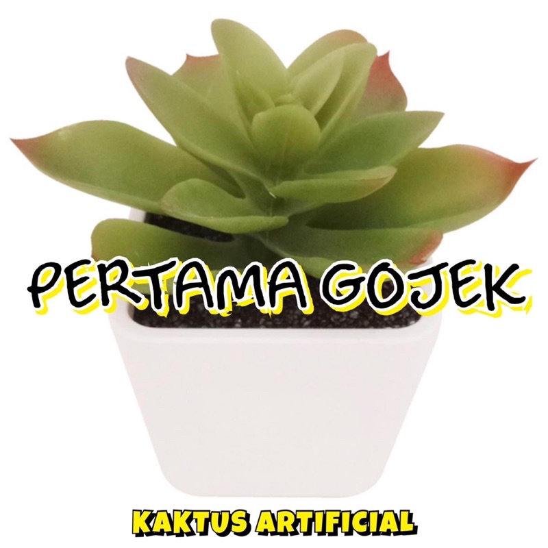 Jual Kaktus Plastik MINI/ Bunga Meja/ Hiasan Meja/ Hiasan Dinding ...