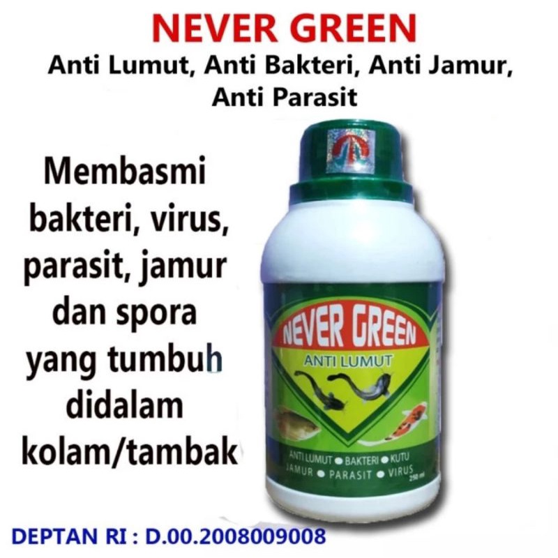 Jual Obat Pembasmi Lumut Anti Lumut Never Green Kolam Ikan Aquarium ...
