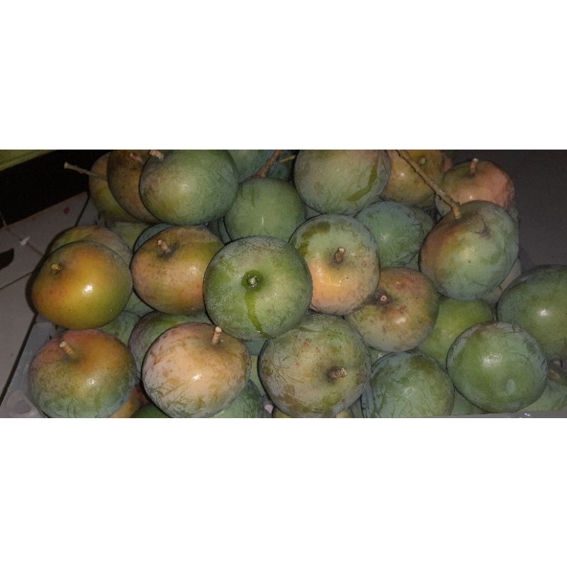 Jual buah mangga apel rujak/mangga apel mengkal sale 1 kg | Shopee ...