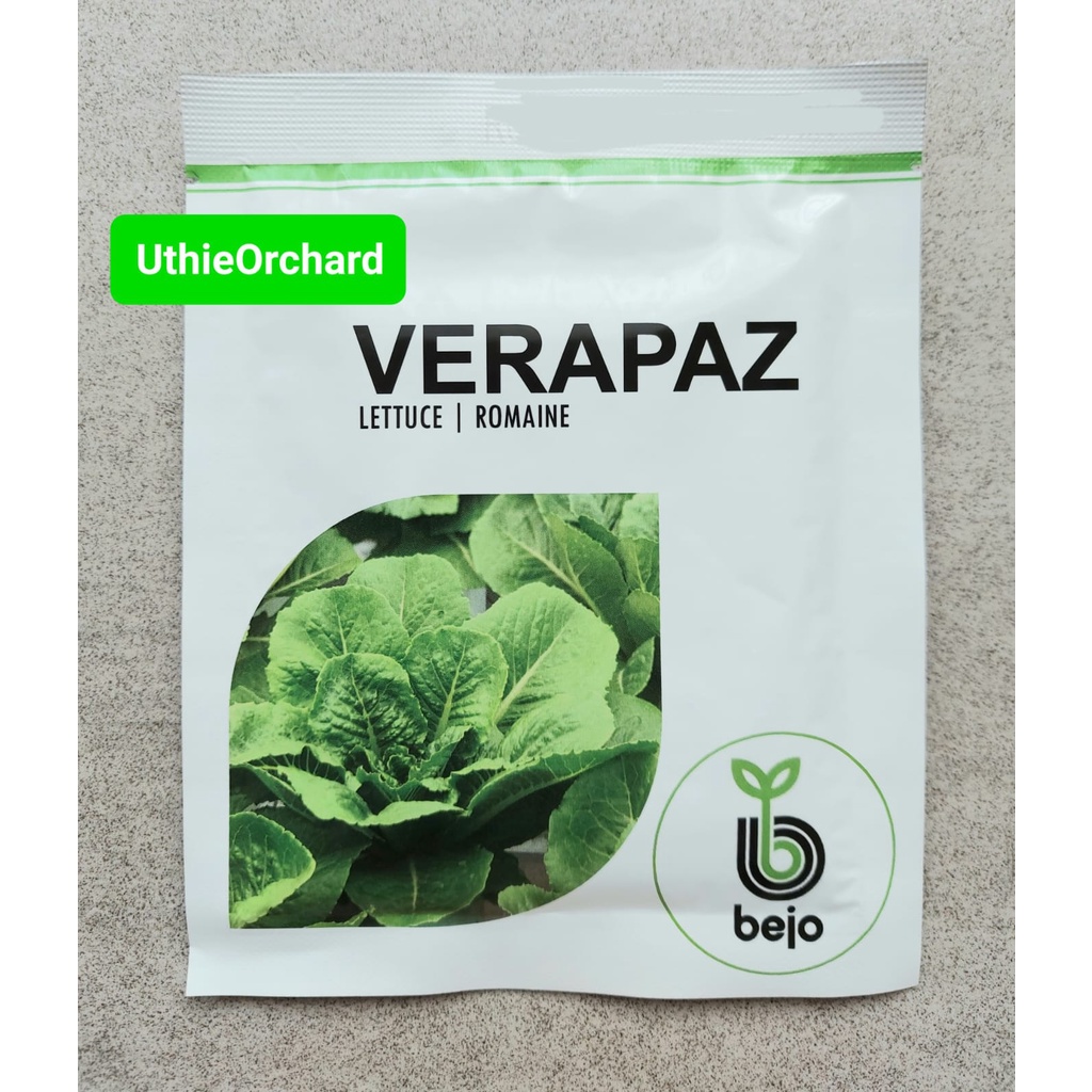 Jual Benih Bejo Seed - Selada Romaine Verapaz Kemasan 1000 pills ...