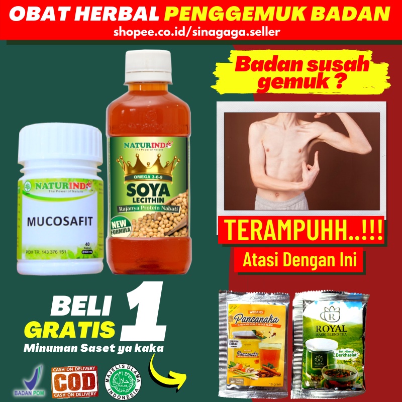 Jual Obat Suplemen Vitamin Kapsul Jamu Herbal Gemuk Penggemuk Penambah ...