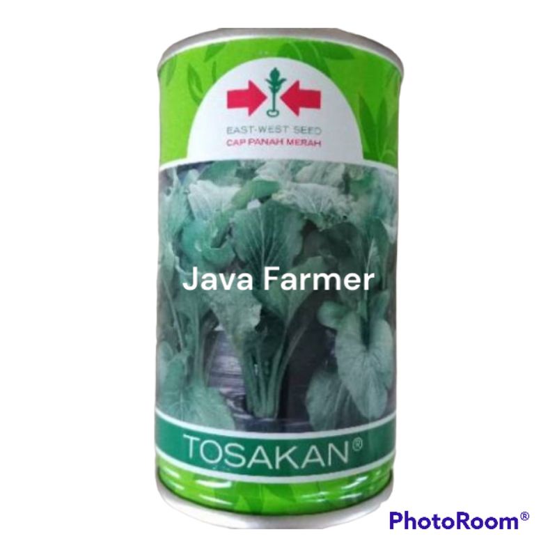 Jual Benih Sawi Tosakan 100 gram | Shopee Indonesia