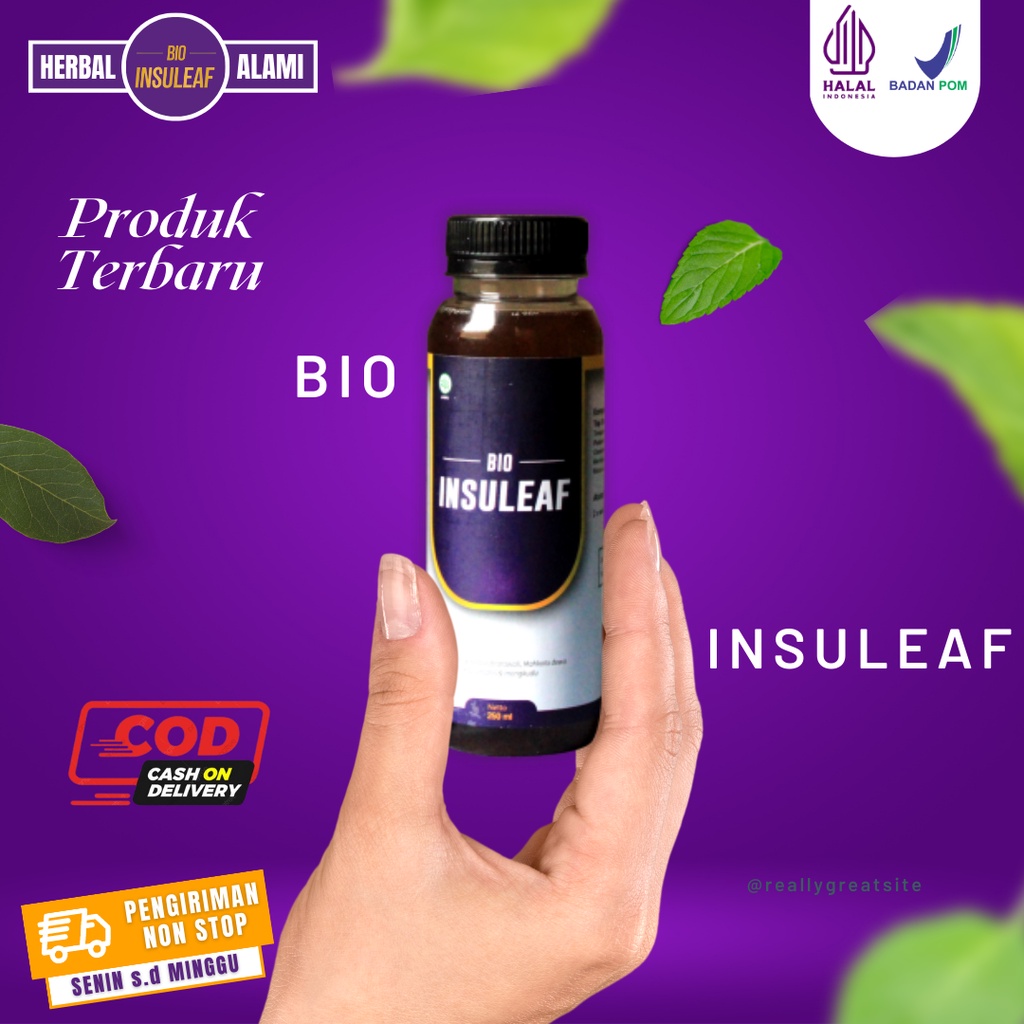 Jual BIO INSULEAF HERBAL ALAMI - OBAT DIABETES - HERBAL - OBAT KENCING ...