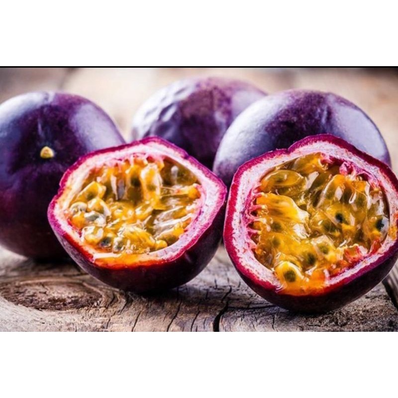 Jual Tanaman buah markisa ungu | Shopee Indonesia