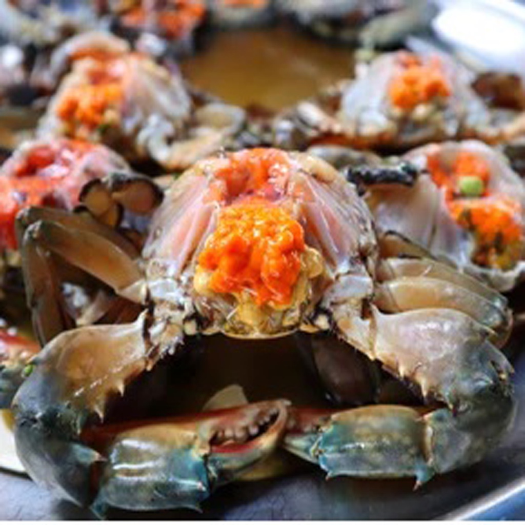 Jual PROMO !!! Kepiting Bakau Hidup Standar, Super, Jumbo dan Telur Per ...