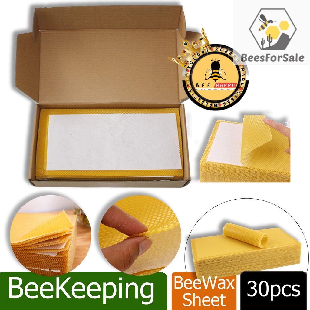 Jual 30pcs BeesWax Honeycomb Sheet BeeWax Bee Wax Foundation for ...