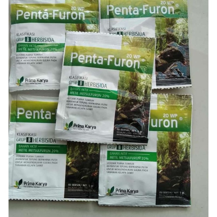 Jual HERBISIDA PENTA FURON 5 GRAM(B.A: METIL METSULFURON 20%) | Shopee ...