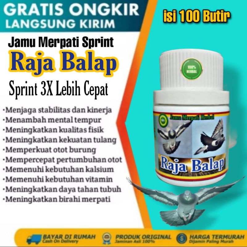 Jual 100 Butir JAMU MERPATI RAJA BALAP / Doping merpati balap sprint ...