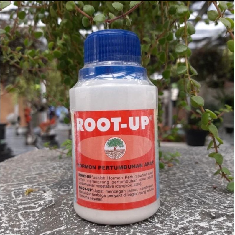 Jual Root Up ZPT Hormon Pertumbuhan Perangsang Akar 100 gram RootUp ...