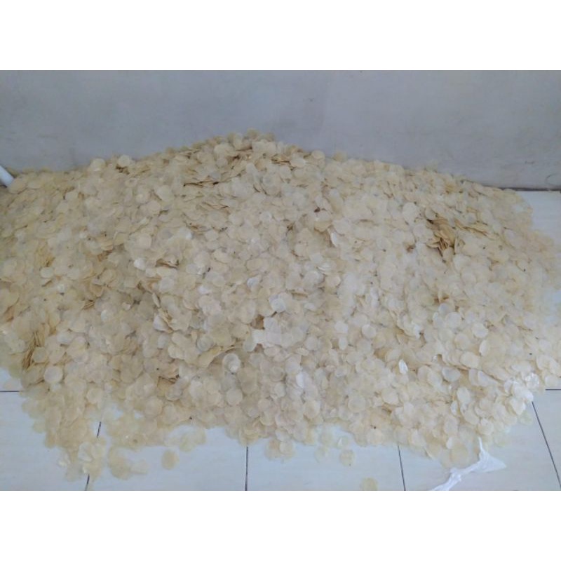 Jual EMPING MELINJO MENTAH SUPER TIPIS ORIGINAL KHAS LIMPUNG SIAP ...