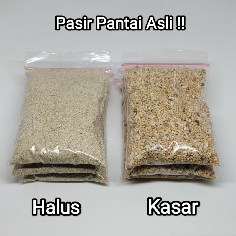 Jual Pasir Pantai Halus & Kasar 50 gram, Sudah Diproses dan Siap ...