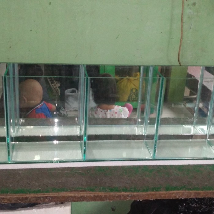 Jual Display Etalase Kaca Display Buah Jus Uk 100X12X25 5 Kotak ...