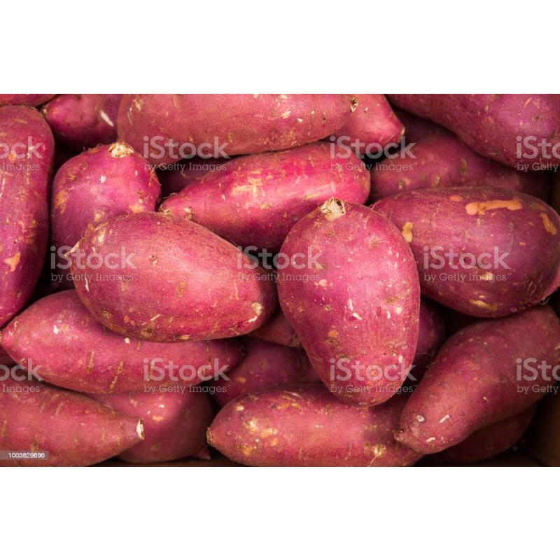 Jual Ubi Jalar Merah Manis ukuran besar (GRADE A) | Shopee Indonesia