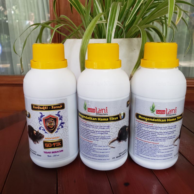 Jual GOTIK Obat Tikus (Bollo Tani) ASLI 100% | Shopee Indonesia