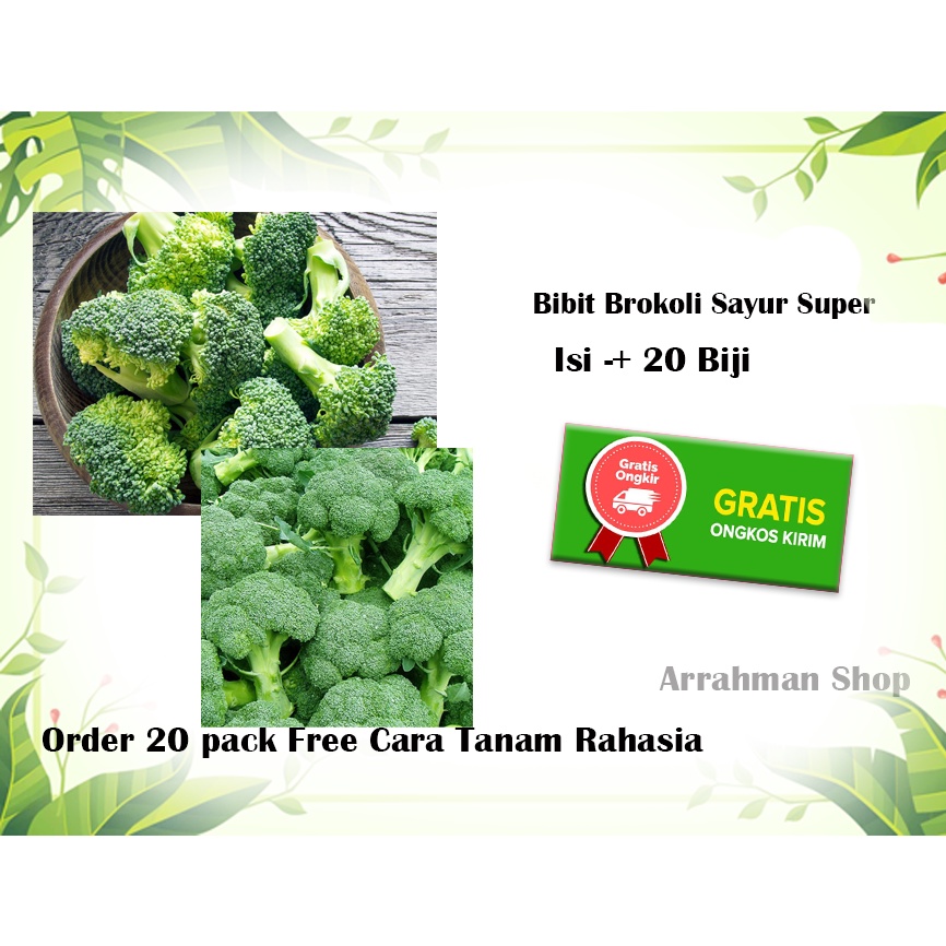 Jual Benih Brokoli Hijau - Bibit Brokoli Tanaman Sayur Super ...