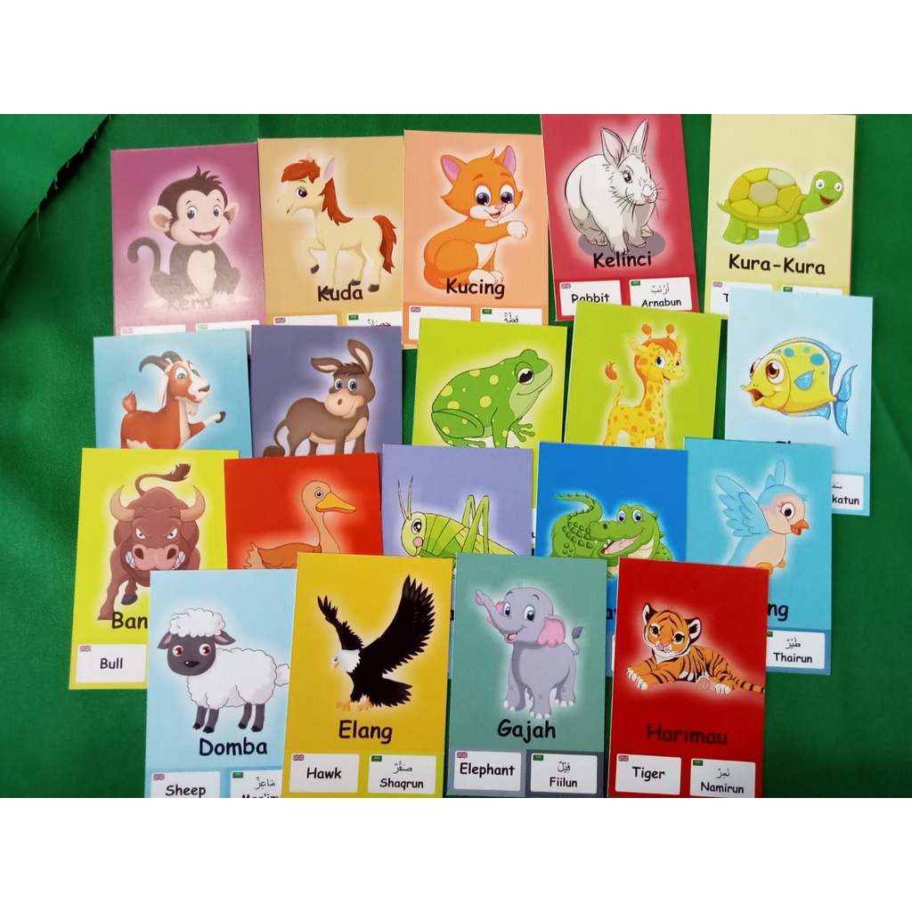 Jual Flashcard/Mainan Edukasi Anak/Hewan/tiga Bahasa/Harga Murah ...